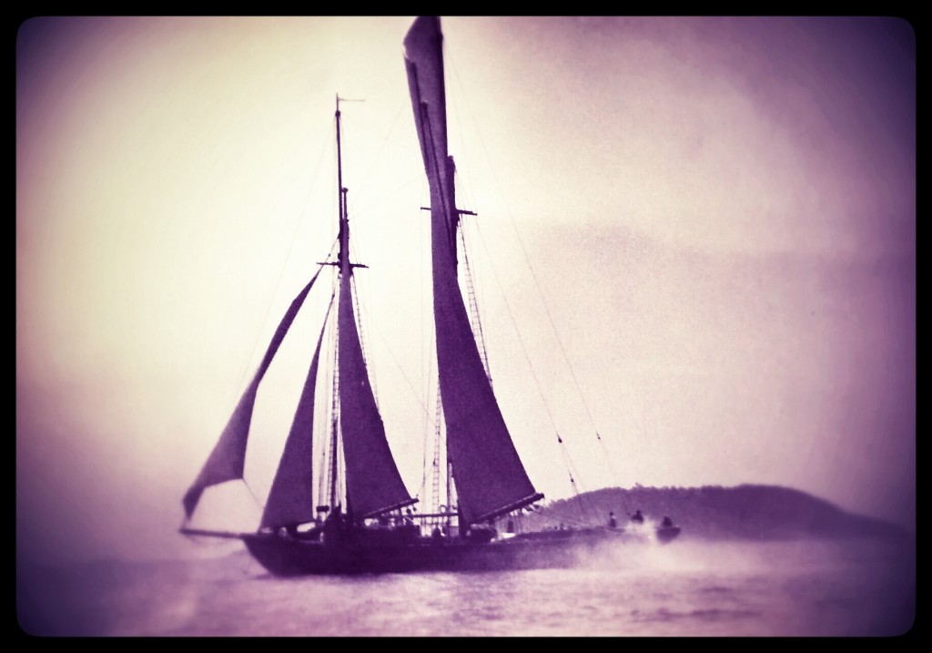 Zaca – Full Sail in San Francisco Bay – 1930 « The Errol Flynn Blog