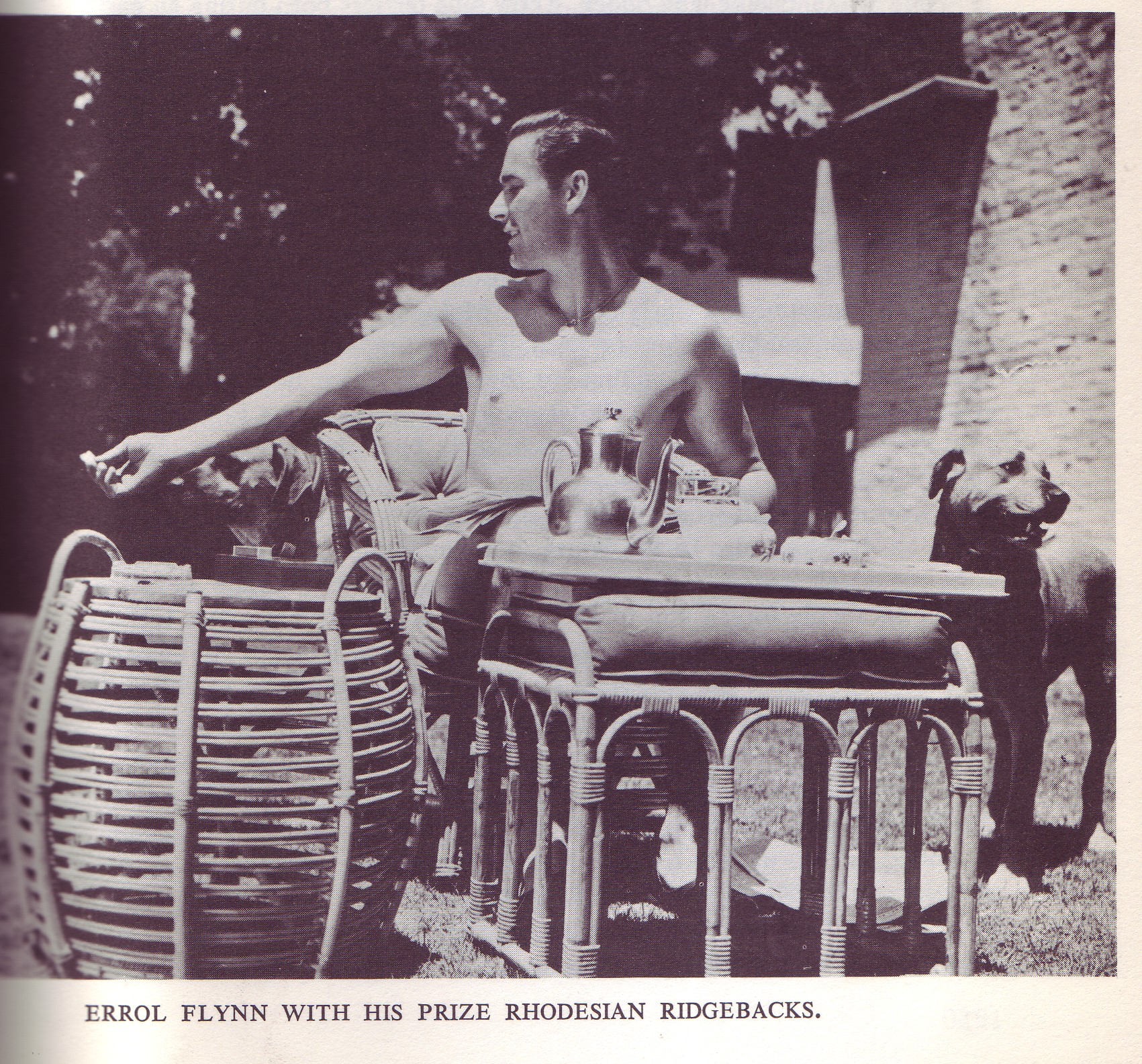 Errol with his prize Rhodesian Ridgebacks | | The Errol Flynn Blog